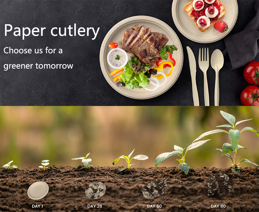 Biodegradable cornstarch disposable cutlery set cornstarch yogurt scoop ...